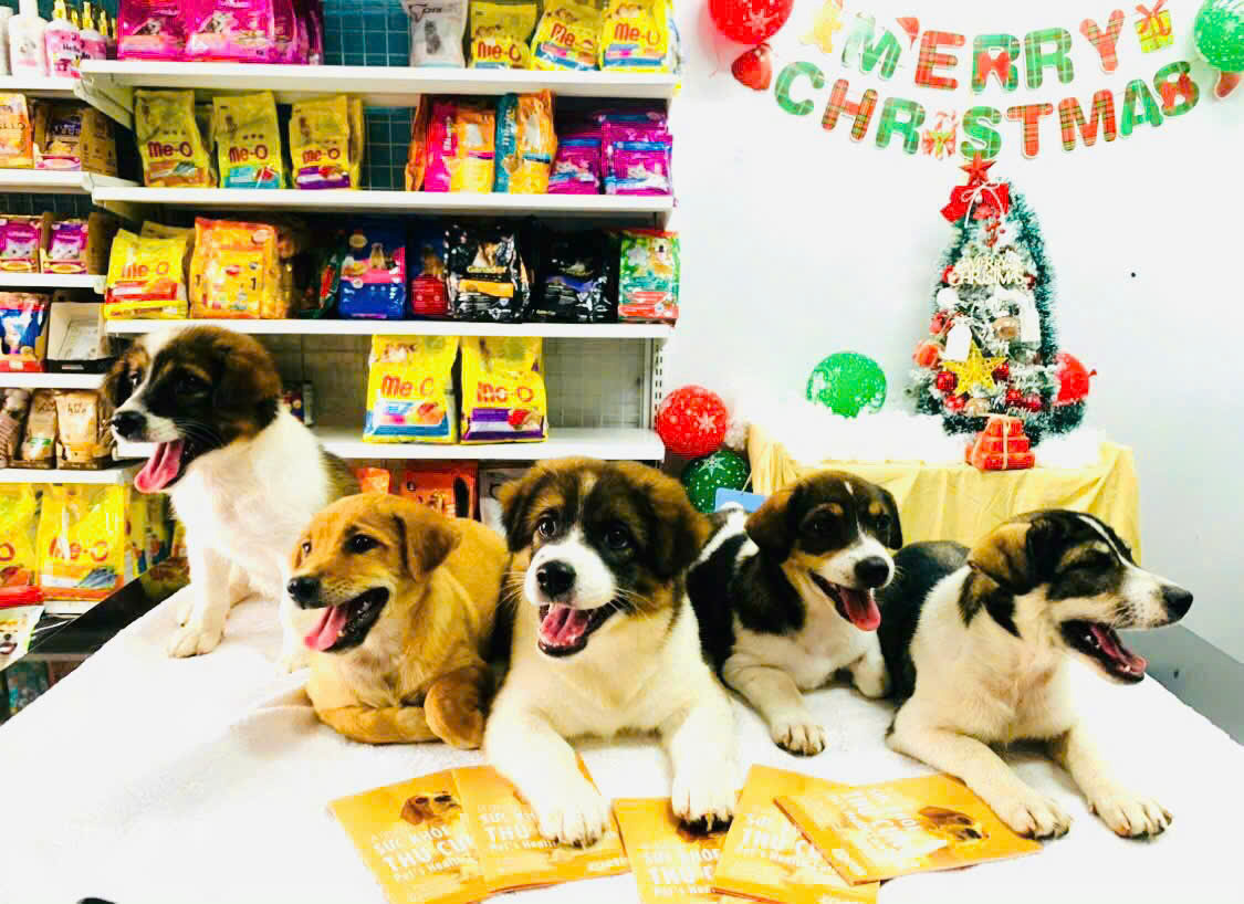 Tiêm Phòng Vaccin cho Chó để làm gì? Vaccin gồm Vaccin gì?